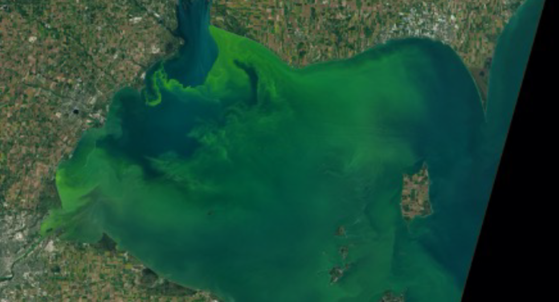 Protecting local water can help slow climate change and provide ...